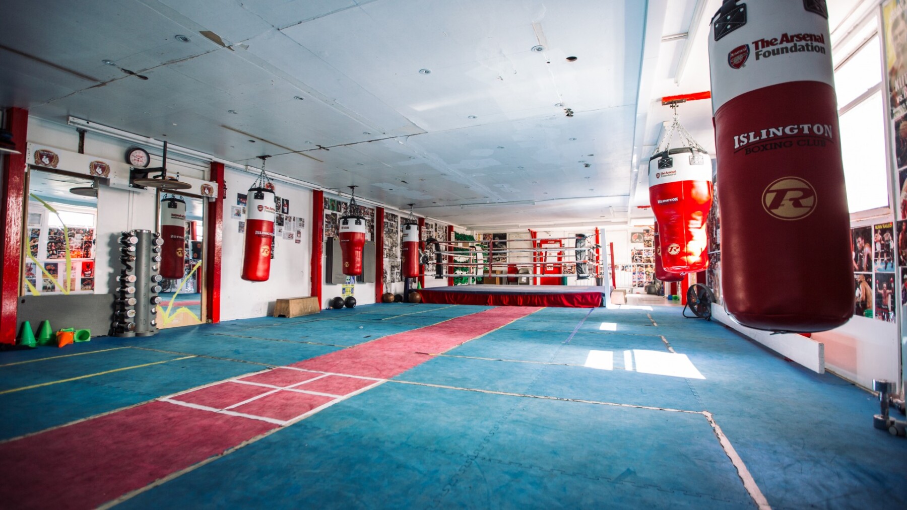 Discover the Thriving Boxing Scene in San Jose: Your Comprehensive ...
